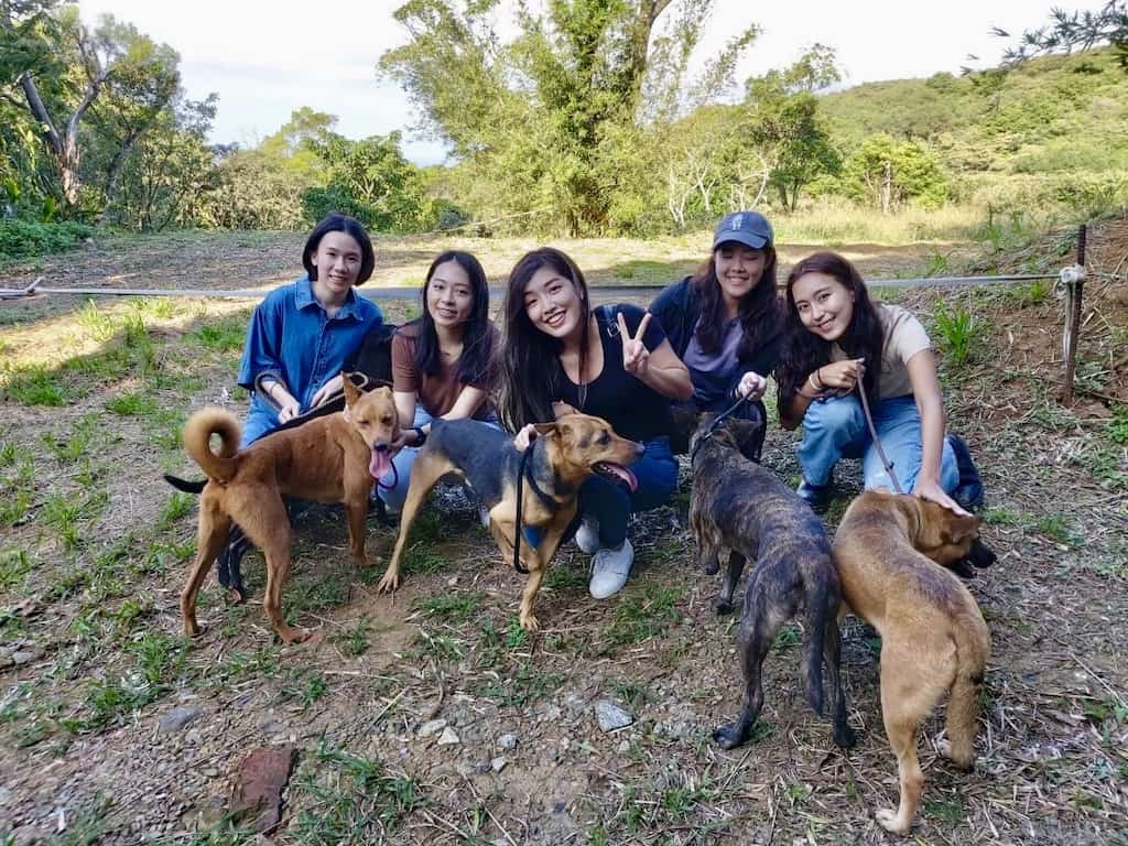 Volunteer | Animal Care Trust