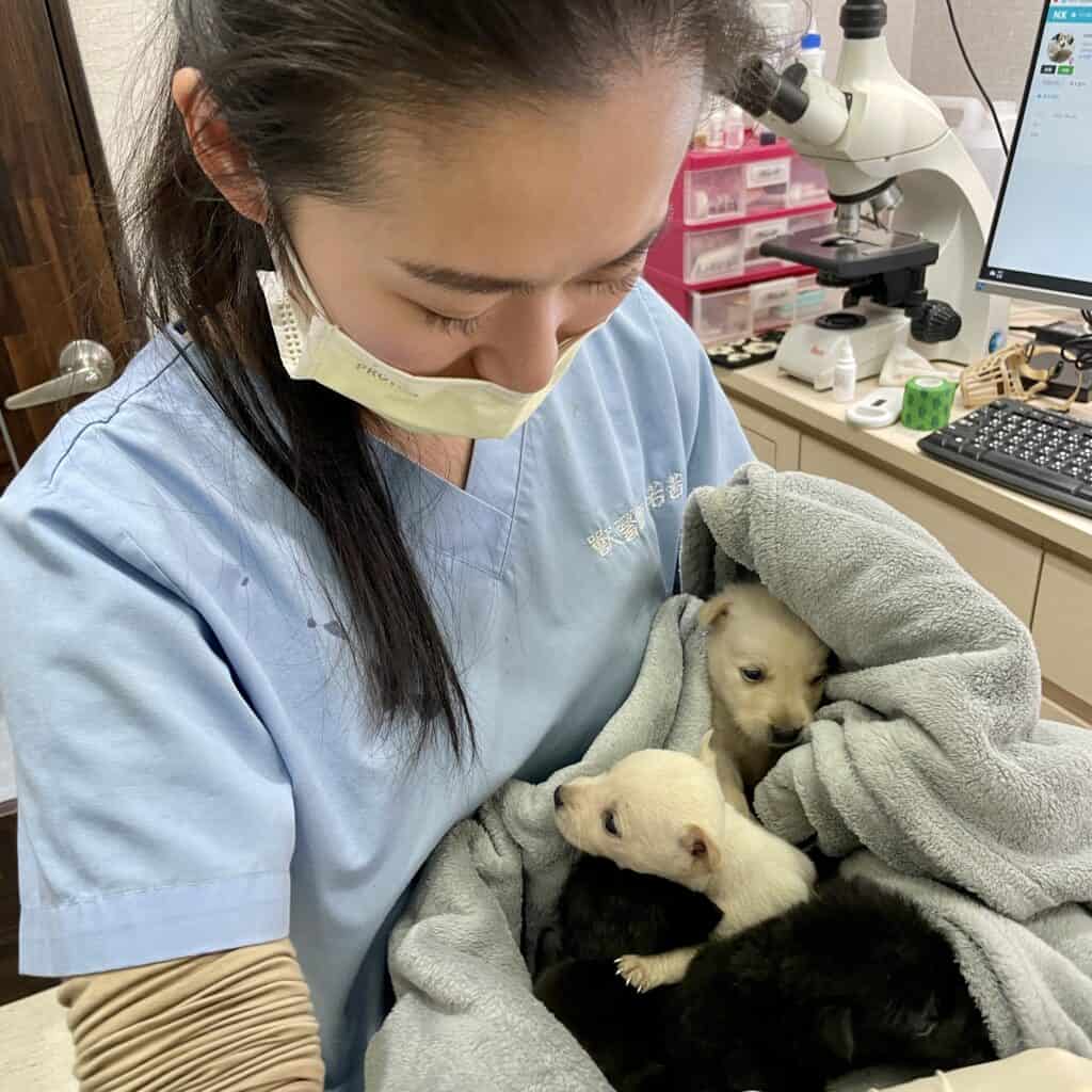 Donate | Animal Care Trust